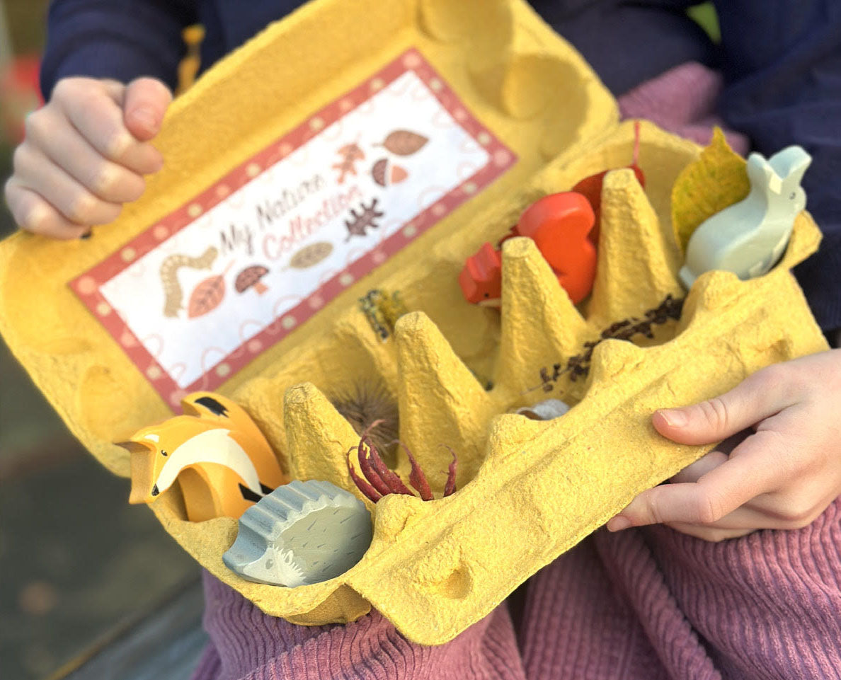 Turn an Egg Carton into a Nature Collection Box for Your Woodland Walk ...